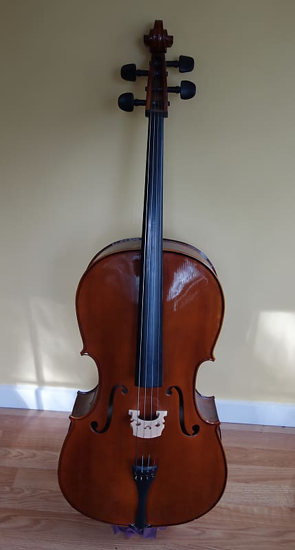Vivace cello Student model | Reverb