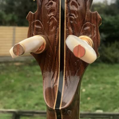 Richelieu Tim Allan Custom Tenor Banjo Ne Plus Ultra | Reverb