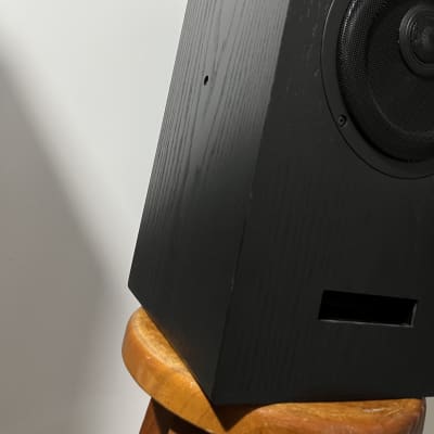 ME-G Geithain MO-2 Monitor Speaker ! | Reverb