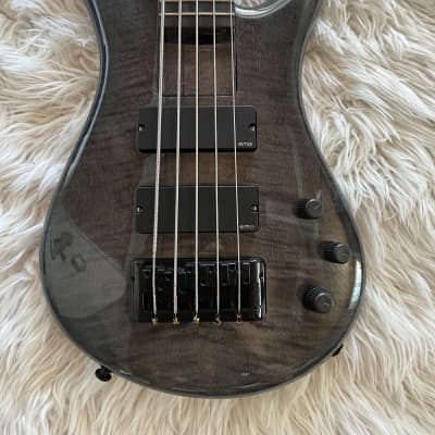 Spector Bantam 5 | Reverb