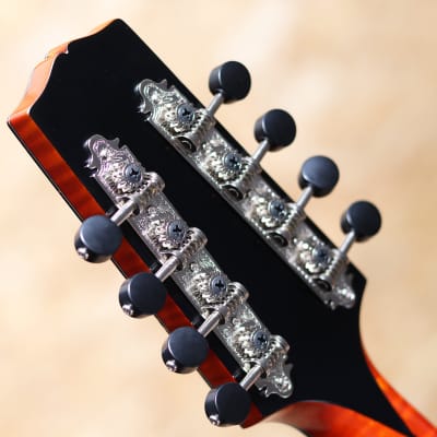 Quint Archtop Octave Mandolin Maple Short Scale Cutaway CS | Reverb