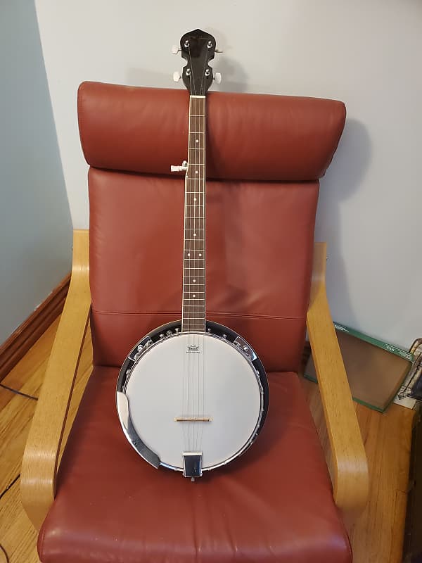 R.W. Jameson 5-String Banjo | Reverb
