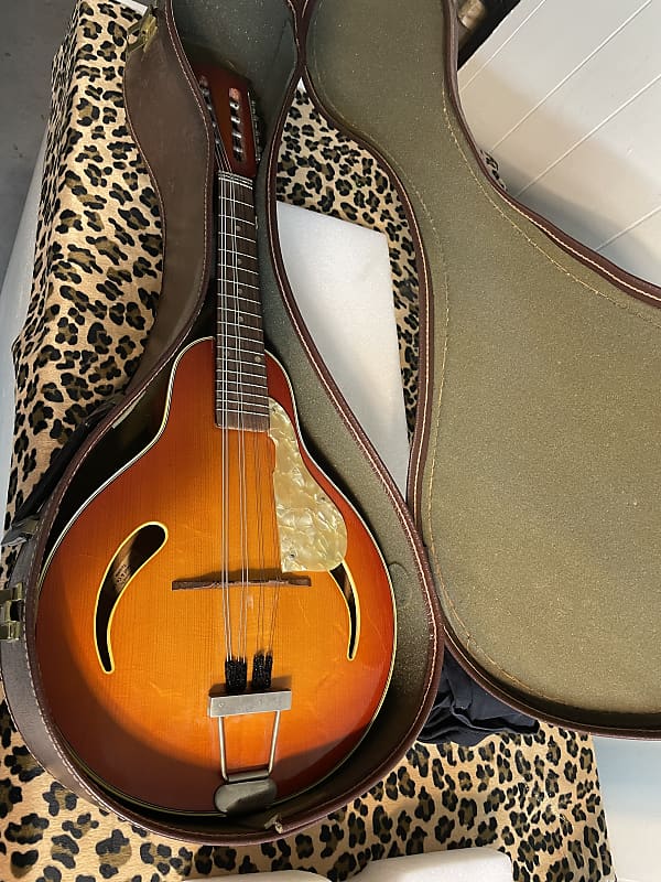 Hofner Mandolin model 545 50-60’s - Sunburst | Reverb Canada