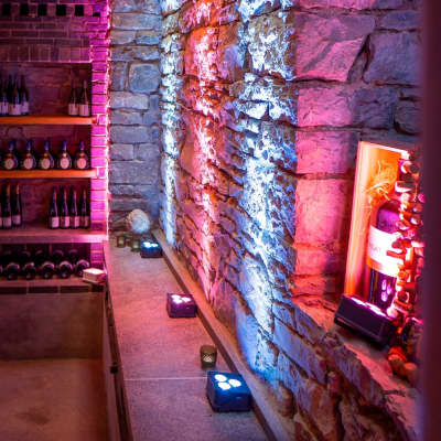 Ape Labs Maxi INS 2+ Solo Creme | IP65 RGBaW Smart PAR | Reverb Canada