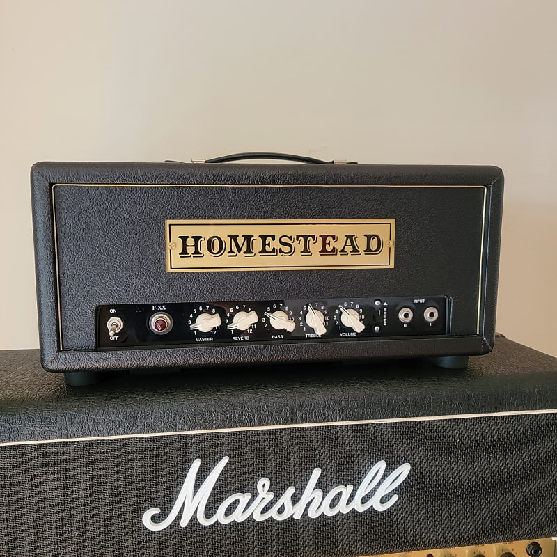 Homestead (Diaz) P-XX P-20 Tube Head | Reverb