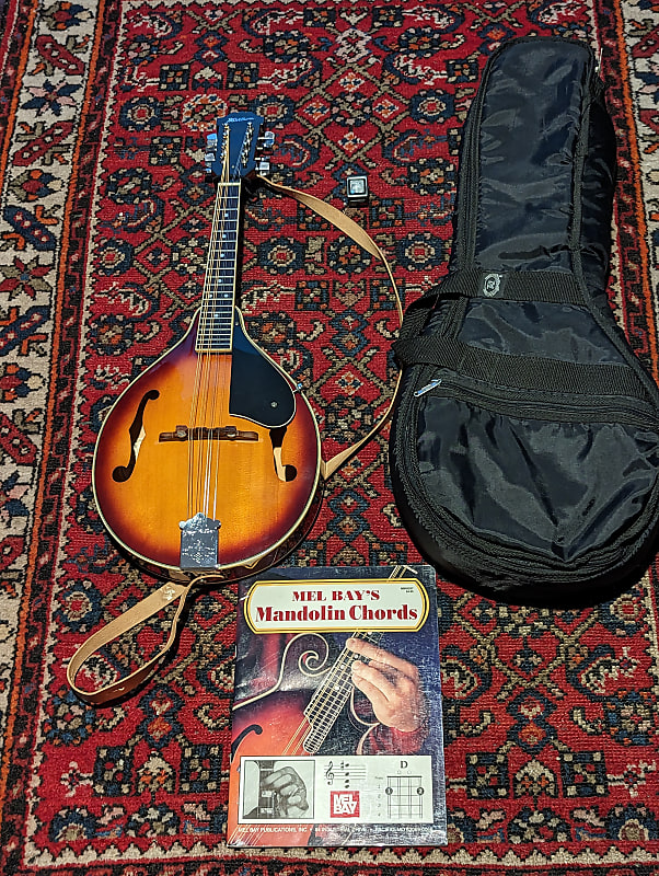 Washburn M1S Tobacco Sunburst Mint with Gig bag, strap, tuner | Reverb