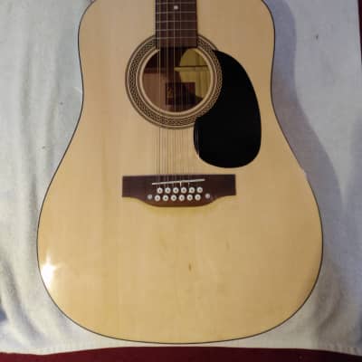 Rogue 12-String Acoustic Guitar | Reverb