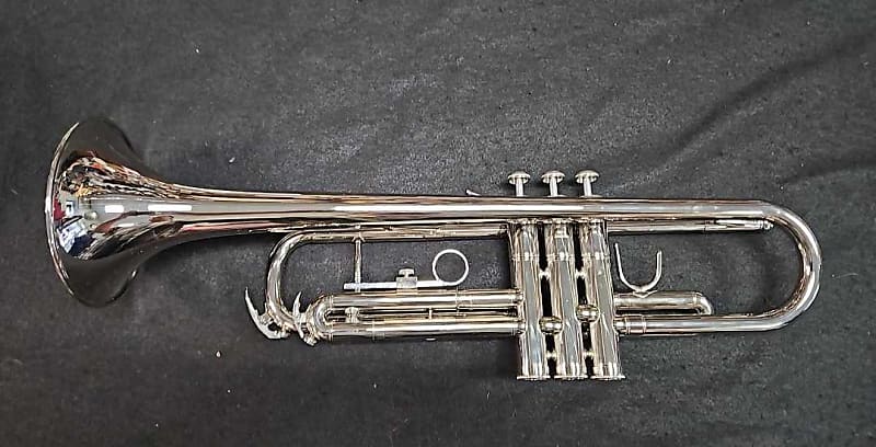 Cecilio Mendini MTT-N J20030438 00s - silver/chrome | Reverb