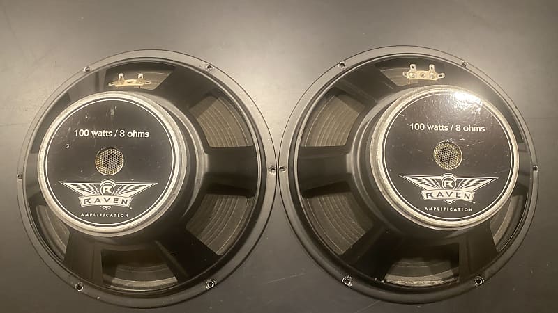 Raven Audio 12-inch 100 Watt Amplifier Speakers - Pair - 8 | Reverb
