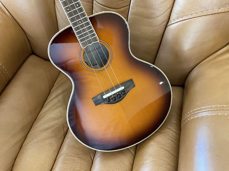 Mandolindo Deluxe, 4 string jazz mandolin, pickup, case | Reverb