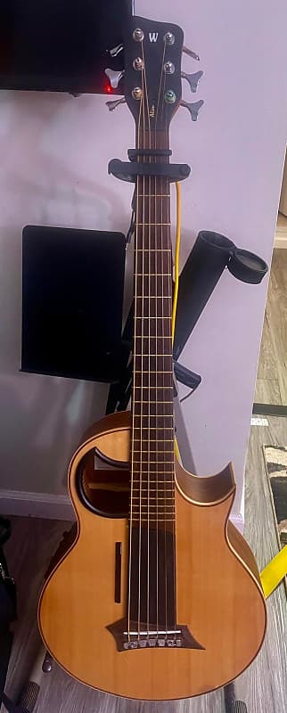 Warwick Alien Acoustic 6-String Bass w/ Fishman Piezo Prefix | Reverb
