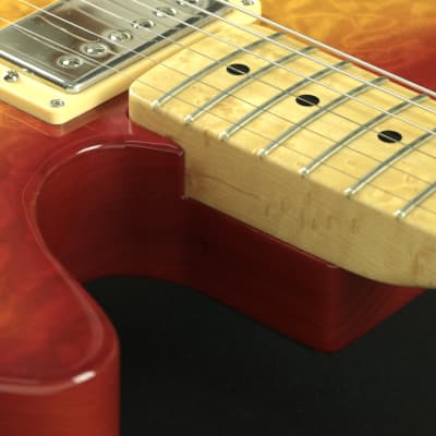 Fender Master built Custom Telecaster Jason Davis | Reverb