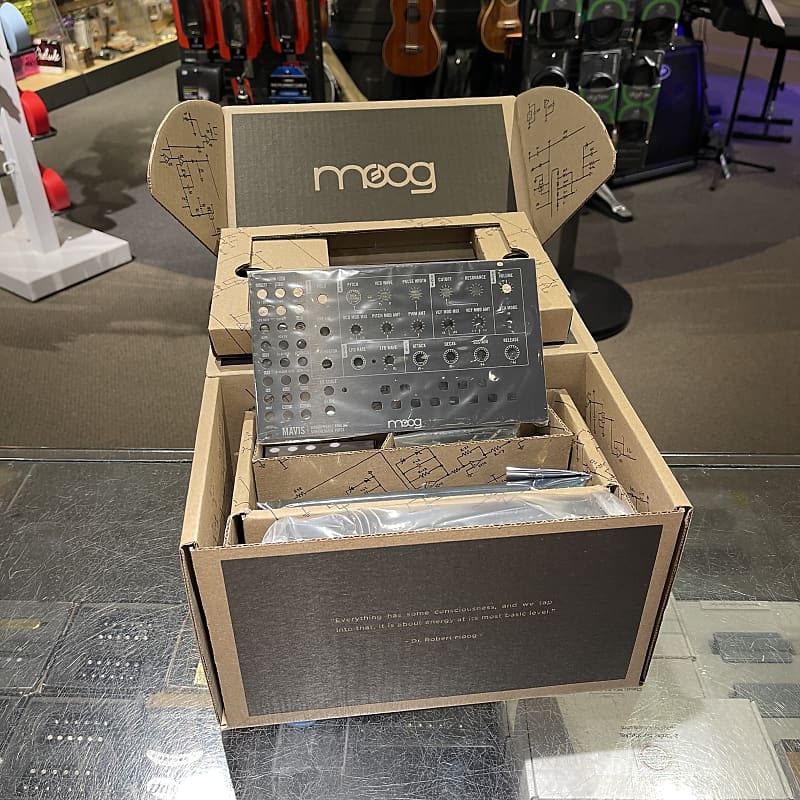 Moog Mavis Analog Synth | Reverb