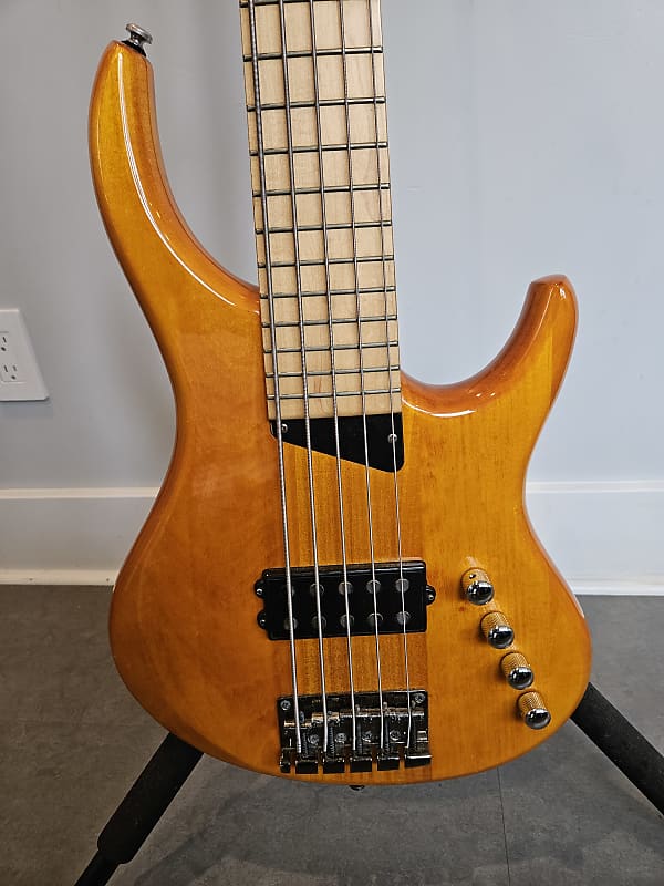 MTD Kingston Artist 5 String Bass | Reverb
