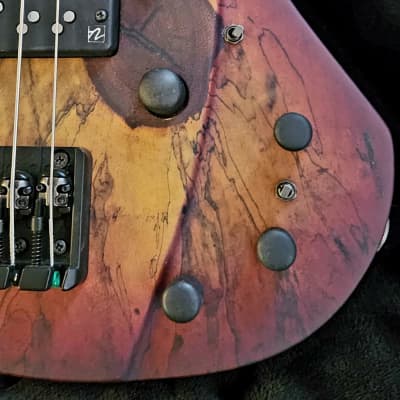 SJ Custom Guitars 5 string bass ,Spalted Tamarind, Flame | Reverb