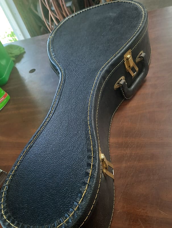 1970's NOS A Style Mandolin Faux Vinyl Leather Chipboard Case | Reverb