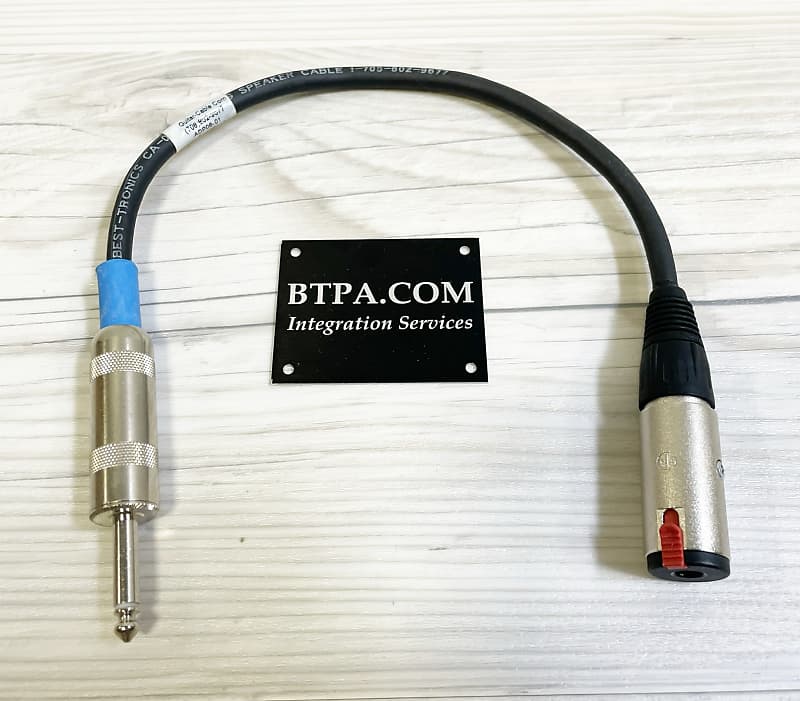 Best-Tronics Pro Audio 1 Foot 1/4" Plug To Dual 1/4" Locking | Reverb