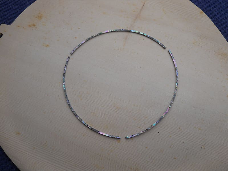 Paua Shell Pearl Rosette Inlay #1 | Reverb