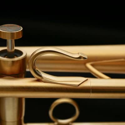 Pre-Owned Monette Raja P3-STC Trumpet in Brushed Gold Plate! | Reverb