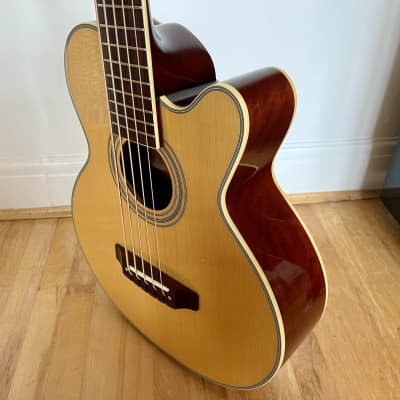 Washburn AB35 electro-acoustic 5 string bass 2004-2006 | Reverb UK