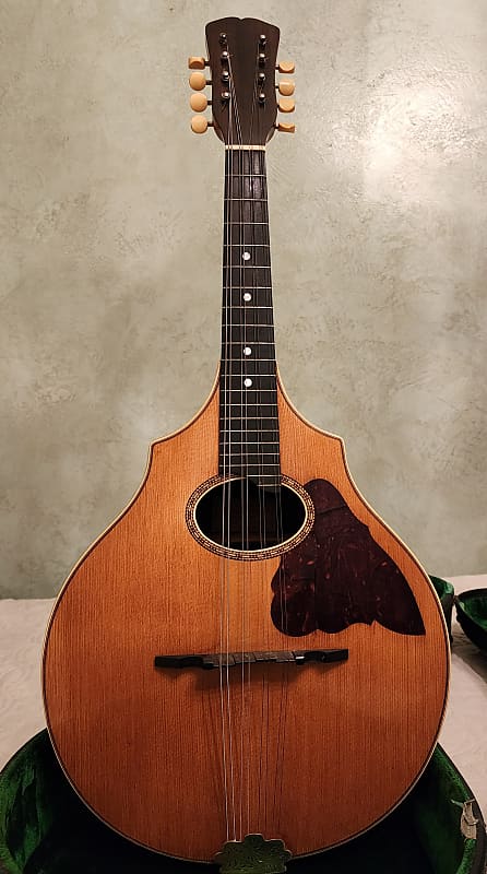 1915 Vega Model 20 Cylinder Back Mandolin | Reverb