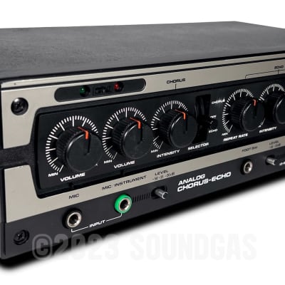 Roland DC-30 Chorus Echo aka Boss DM-300 *Soundgas Serviced* | Reverb