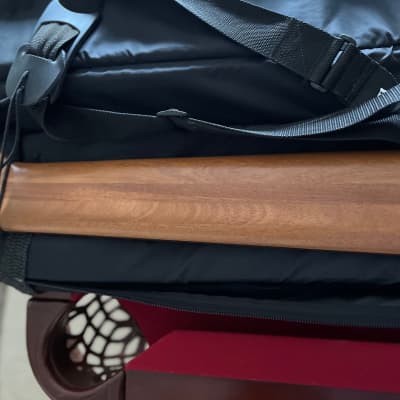 Mobius Megatar - Black/Tan With soft case. | Reverb