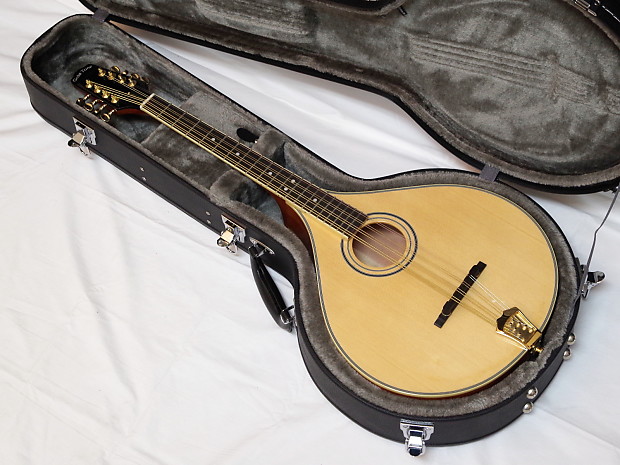 GOLD TONE OM-800+ acoustic electric Octave Mandolin NEW w/ | Reverb