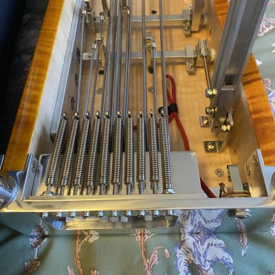 Williams Pedal Steel Guitar 2022 | Reverb