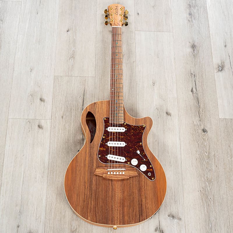 Cole Clark TL2EC-BLBL-SSS True Hybrid Thinline Grand | Reverb