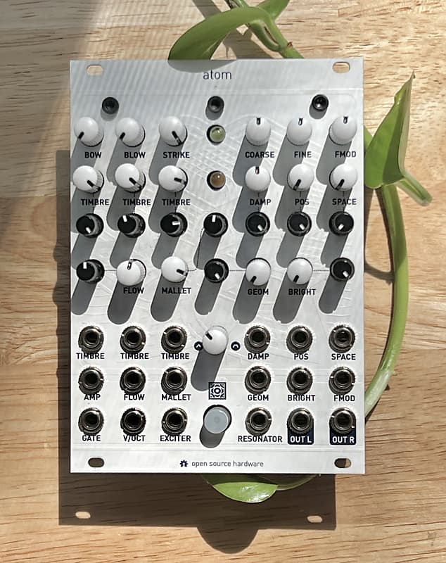 Antumbra Atom 2022 - White Magpie faceplate - Mutable | Reverb