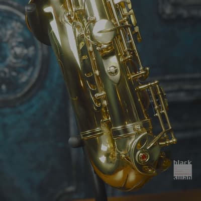 Glory Professional Saxophone - Alto Eb Gold Laquer | Reverb Canada