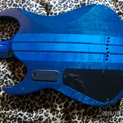 Agile 7 Seven String | Reverb