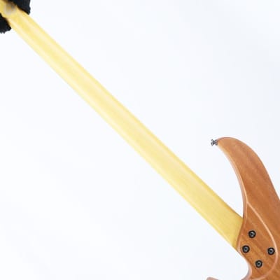 Seed Kirin [5 fret extension neck specification] [Japanese | Reverb