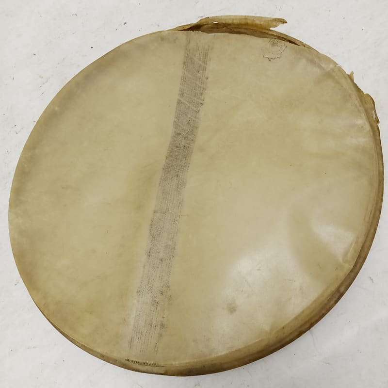 *Leedy Standard Uka Transparent Snare Resonant 14"Calf Skin | Reverb