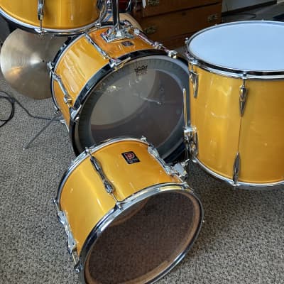 Premier Elite 70’s - Polychromatic Gold | Reverb
