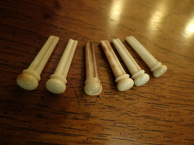 Bridge Pins Fossilized Walrus Ivory | Reverb
