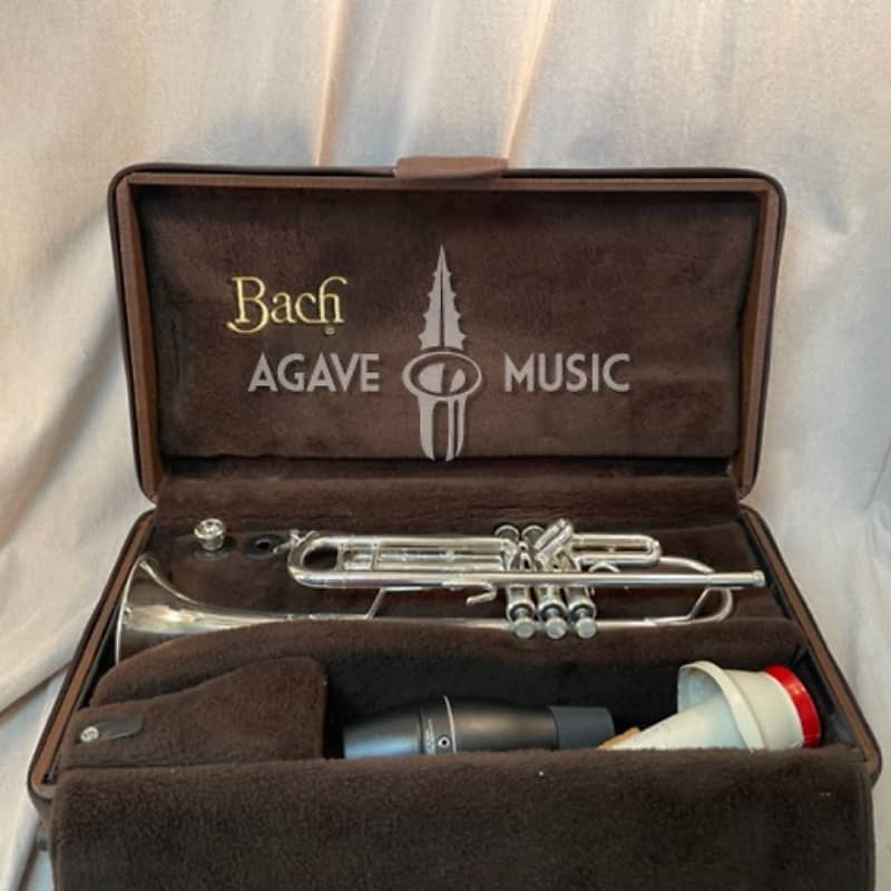 Bach Trumpet Silver Plate | Reverb
