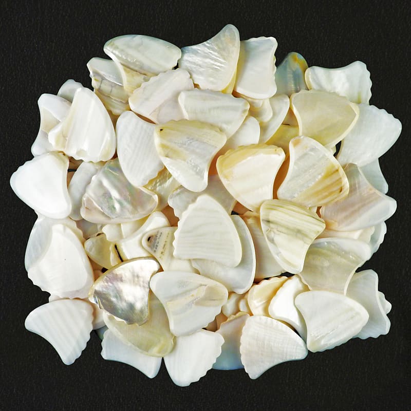 White Abalone Shell Guitar Pick - Shark Fin Shape - Handmade | Reverb