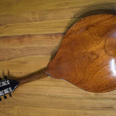The Dayton Style B mandolin 1910s - black | Reverb Deutschland