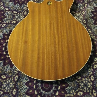 Brian May Red Special Kit | Reverb