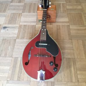 Sigma by Martin SM 23E Mandolin | Reverb