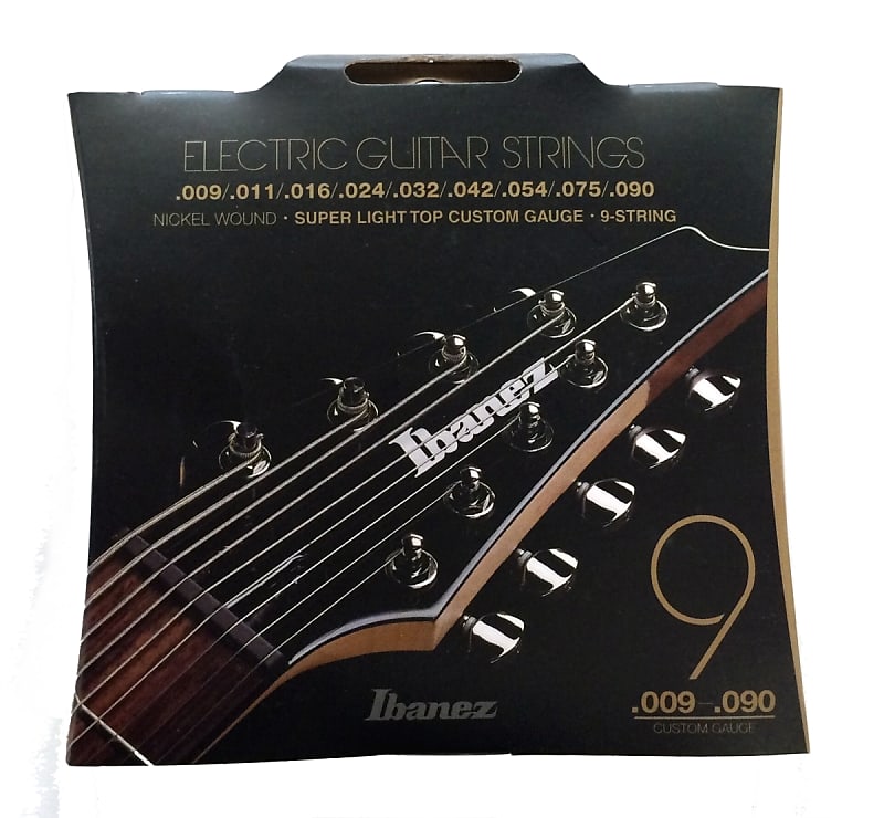 Ibanez IEGS9 9-String Electric | Reverb