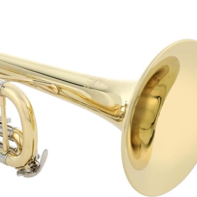 Victory Musical Instruments Triumph Series Student Trumpet - | Reverb