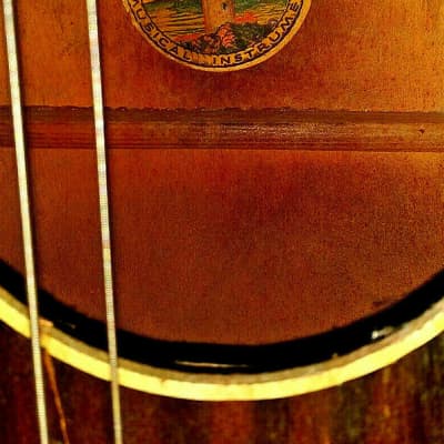 Bruno Musical instrument Parlor guitar vintage | Reverb