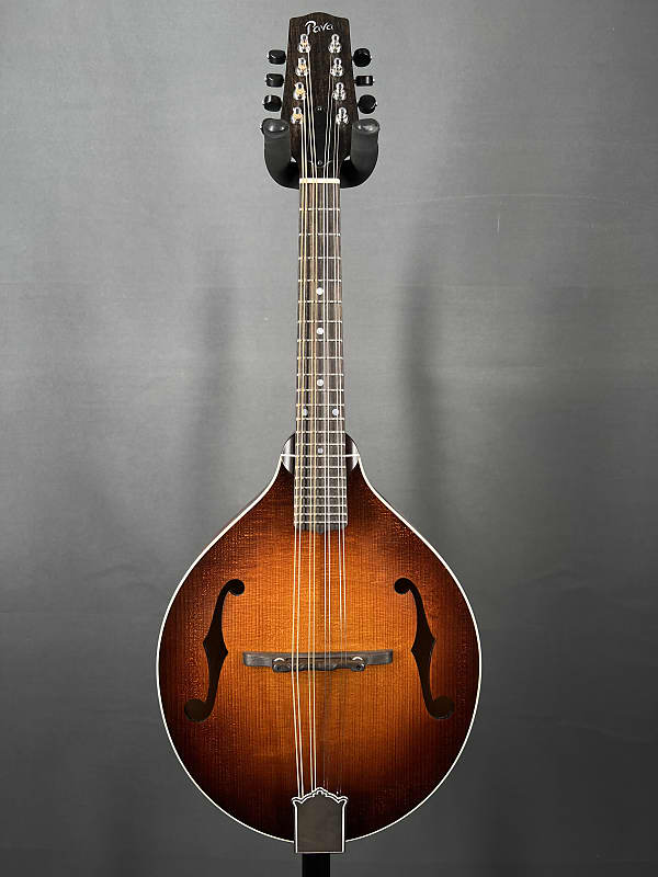 Pava Satin A 2022 Sunburst Wide Nut | Reverb