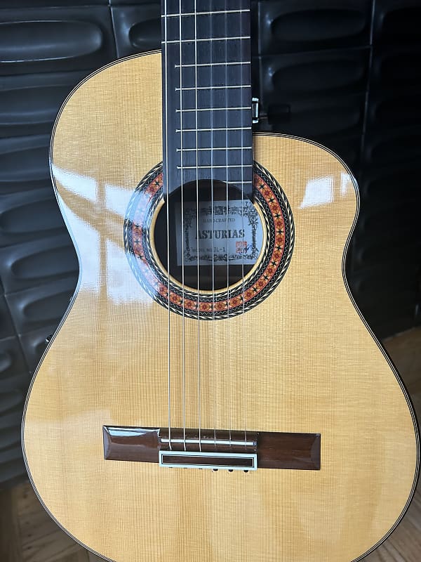 Asturias Jeff Linsky Model JL-1 Guitar – Rare, Mint Condition | Reverb