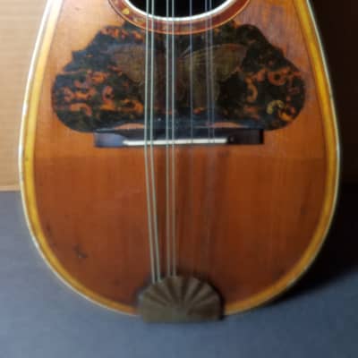 VINTAGE Wurlitzer Academy Mandolin Unknown Various Inlays | Reverb