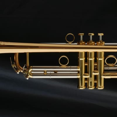 Just arrived! A Restock of the amazing Schagerl James | Reverb