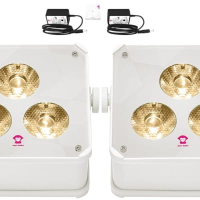 Ape Labs Maxi 2+ Set of 2 Creme | IP65 RGBaW Smart | Reverb Canada